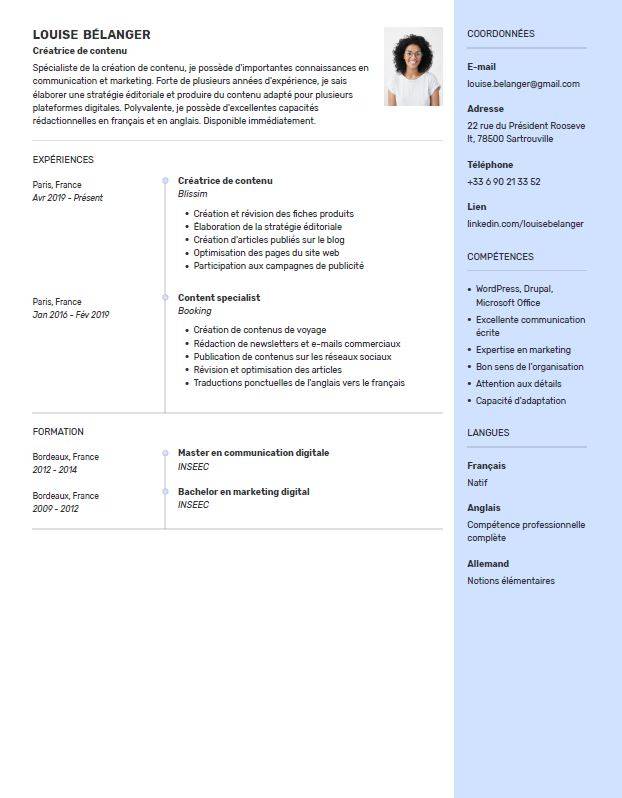 Modèle de CV professionnel pour une candidature d'emploi